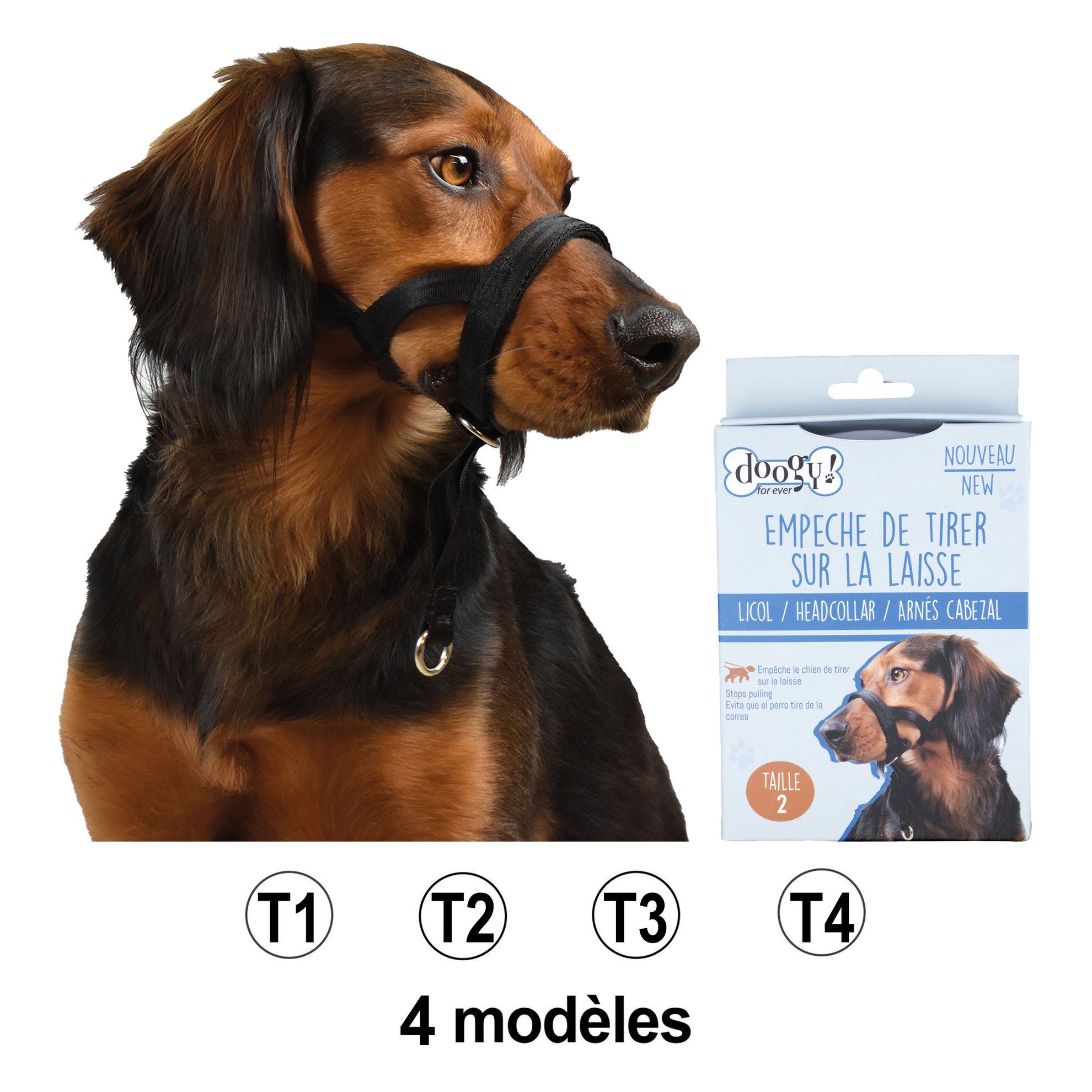 Harnais Licol Doogy - Sellerie éducative - Chadog Diffusion