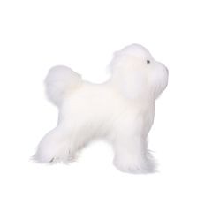 Matériel Professionnel - Chadog Diffusion