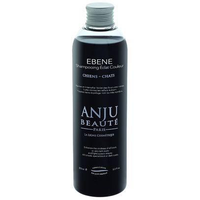 Shampooing Ebène Anju Beauté - Shampoing activateurs de couleurs ...