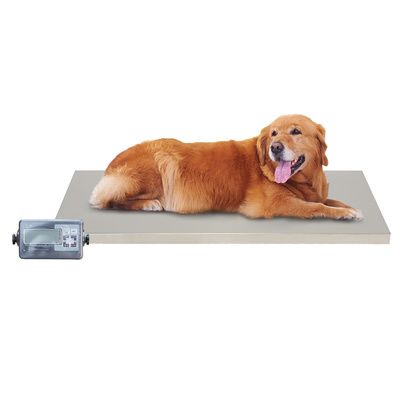 Balance pour Animaux - Matériel et Accessoires vétérinaires - Chadog ...